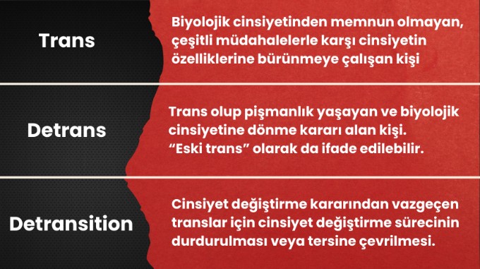 Detransition Nedir? Detrans Kime Denir? | Mesele LGBT